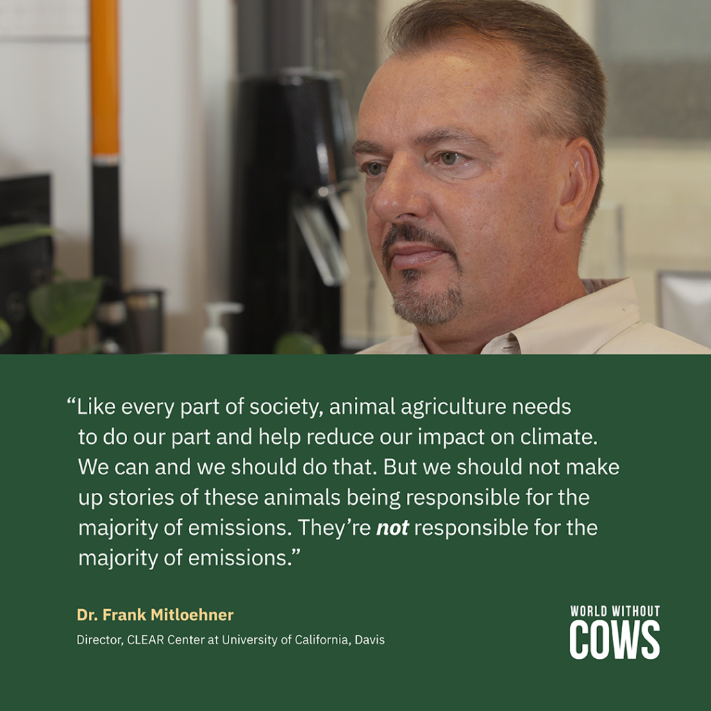 What would happen if all the cows were suddenly gone? - World Without Cows