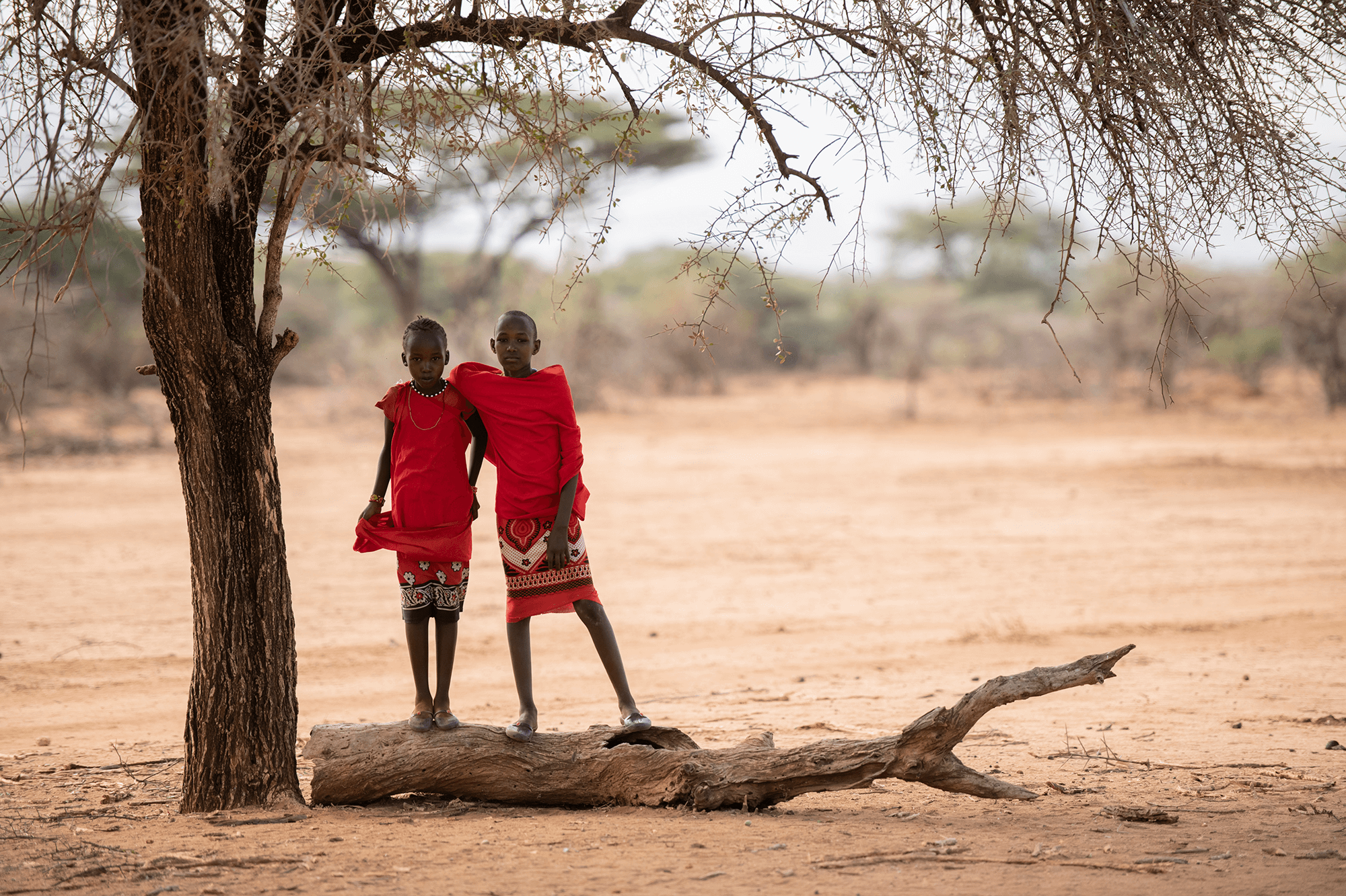 Explore - World Without Cows